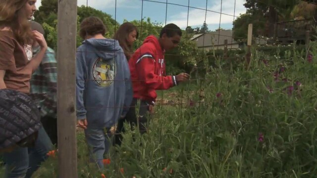 Watch Growing a Greener World Growing the Next Generation of Gardeners ...