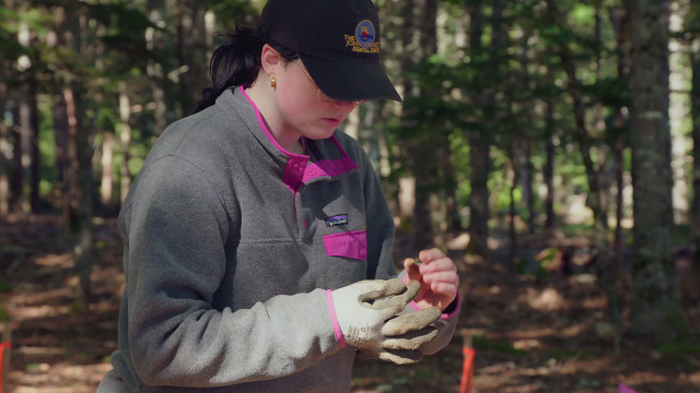 Watch The Curse of Oak Island Digging Back In S11 E12 | DIRECTV.