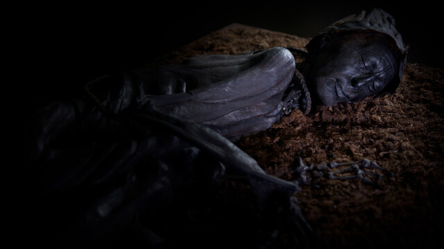 Watch Tollund: The Enigma of the Swamp Mummy Online | Stream the Full ...