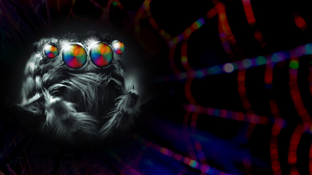 Watch Spider Vision: Decoding Color Full Movie on DIRECTV