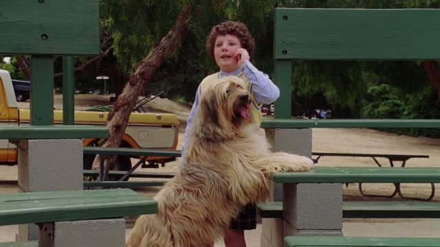 Watch The Benchwarmers Full Movie on DIRECTV