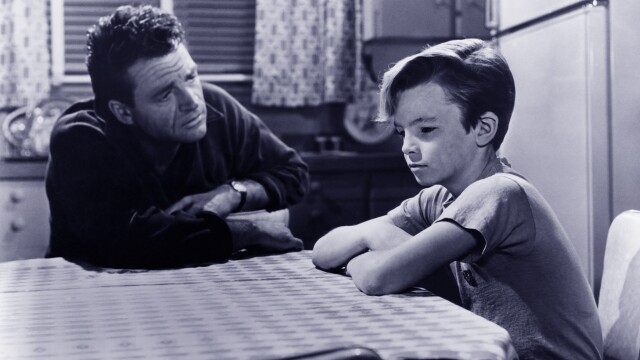 Watch The Silent Call Full Movie on DIRECTV