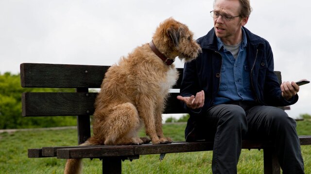 Watch Absolutely Anything Online | Stream the Full Movie on DIRECTV