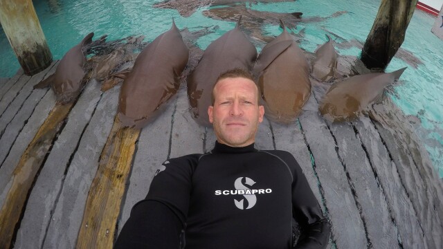 Watch The Killing Games Full Movie on DIRECTV