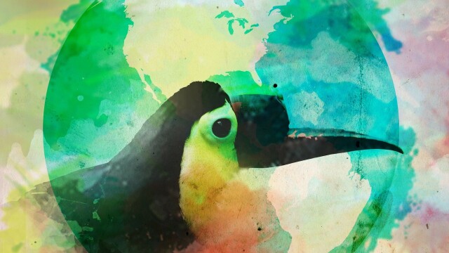 Watch Toucan Nation Full Movie on DIRECTV