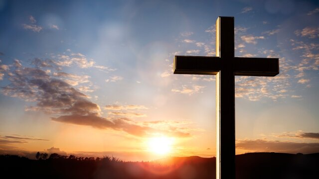 Watch Cross Connection Online | Stream on DIRECTV