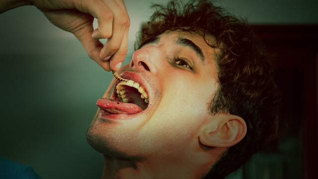 Watch My Strange Addiction Online Streaming | DIRECTV