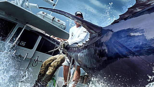 Watch Wicked Tuna Online Streaming | DIRECTV