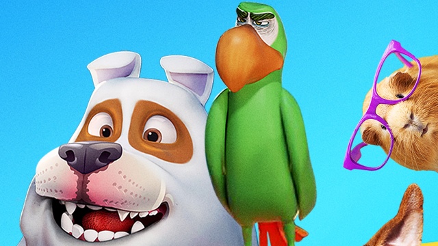 Watch Pets Animal Adventure Online Streaming | DIRECTV