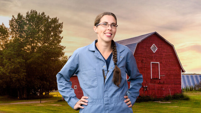 Watch Rocky Rapids Vet 9-1-1 Online Streaming | DIRECTV