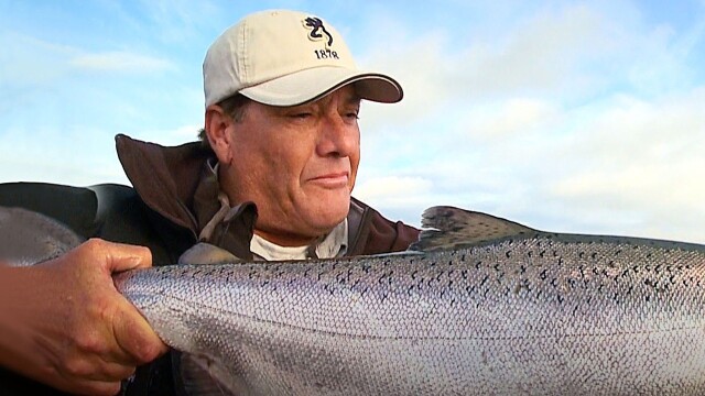 Watch Gabon Africa Bull Sharks (2021) | DIRECTV